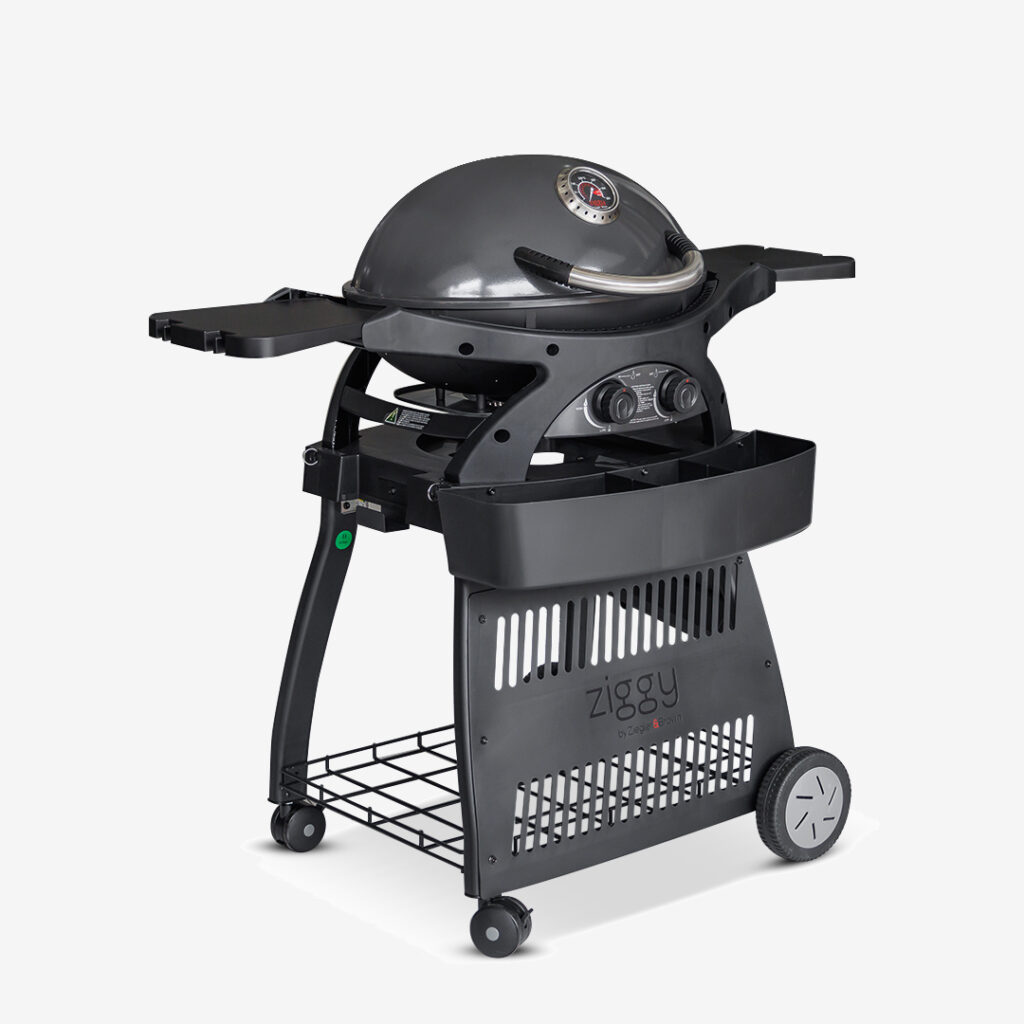 BBQ (Gas) Archives - Unique Outdoor Living